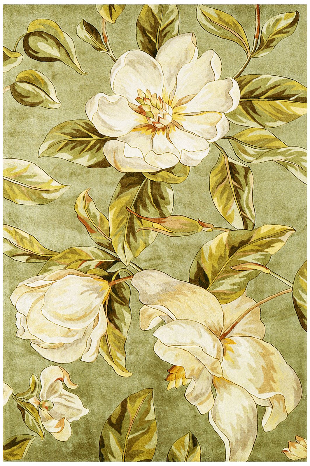 Catalina Collection Sage Magnolia Area Rug - #W7868 | Lamps Plus