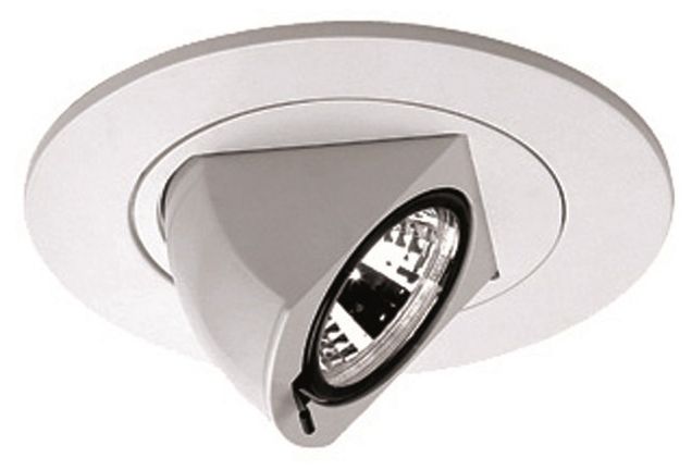 WAC 4" Low Voltage Adjustable Angle Recessed Light Trim - #X6455 ...